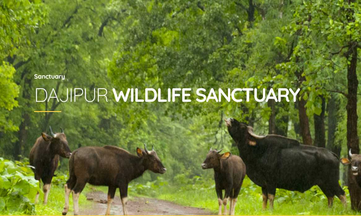 दाजीपुर अभयारण्य - Dajipur sanctuary - KOLHAPUR EXPLORER
